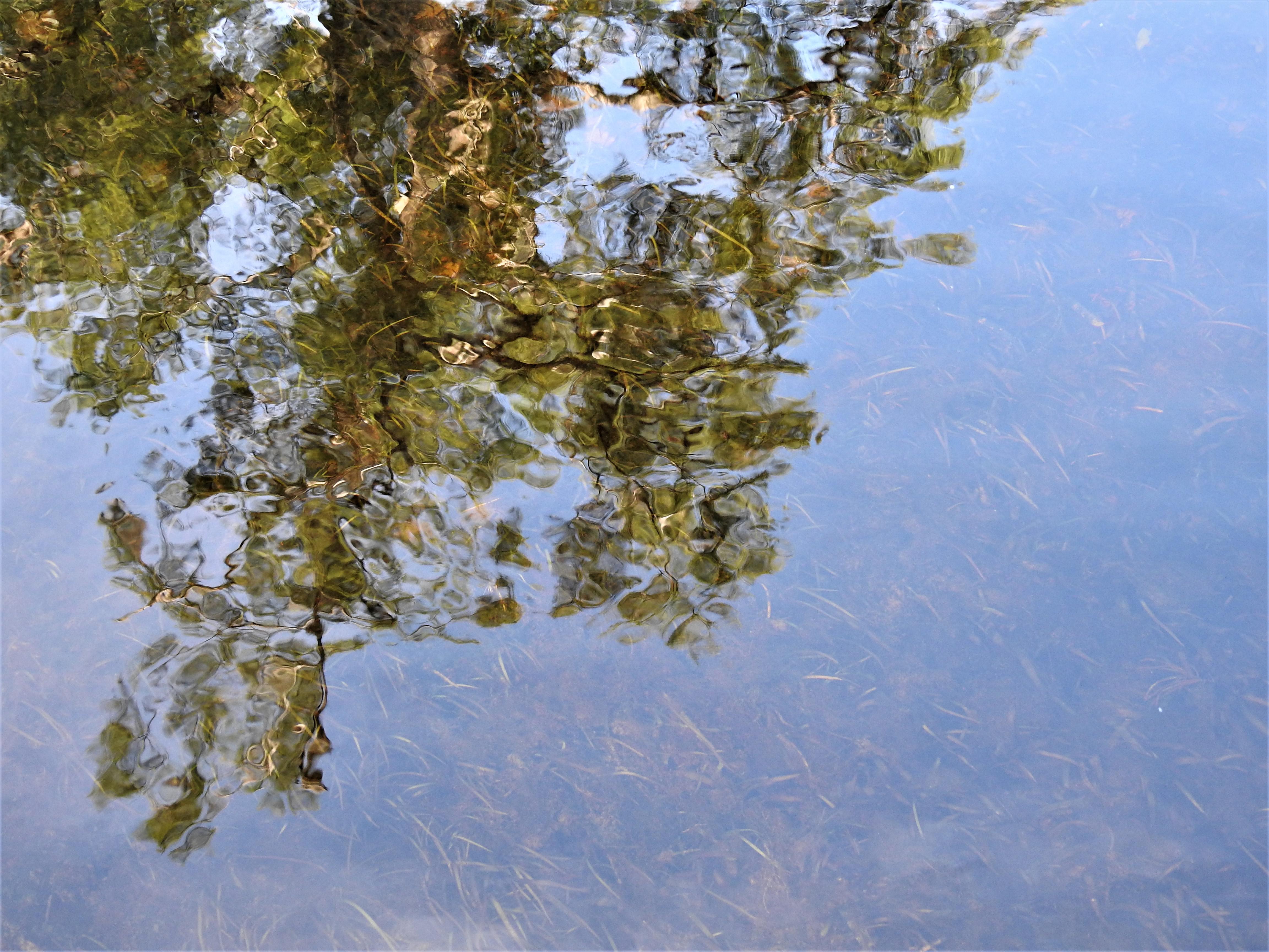 Reflections | Scrolller