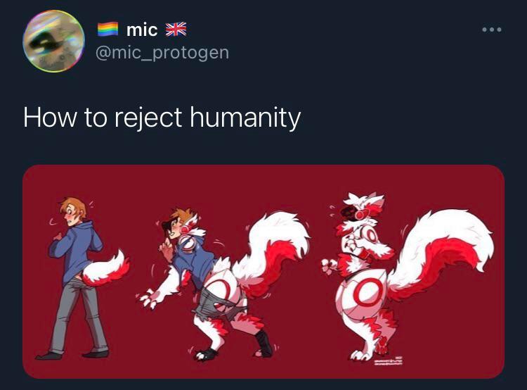 Reject_irl | Scrolller