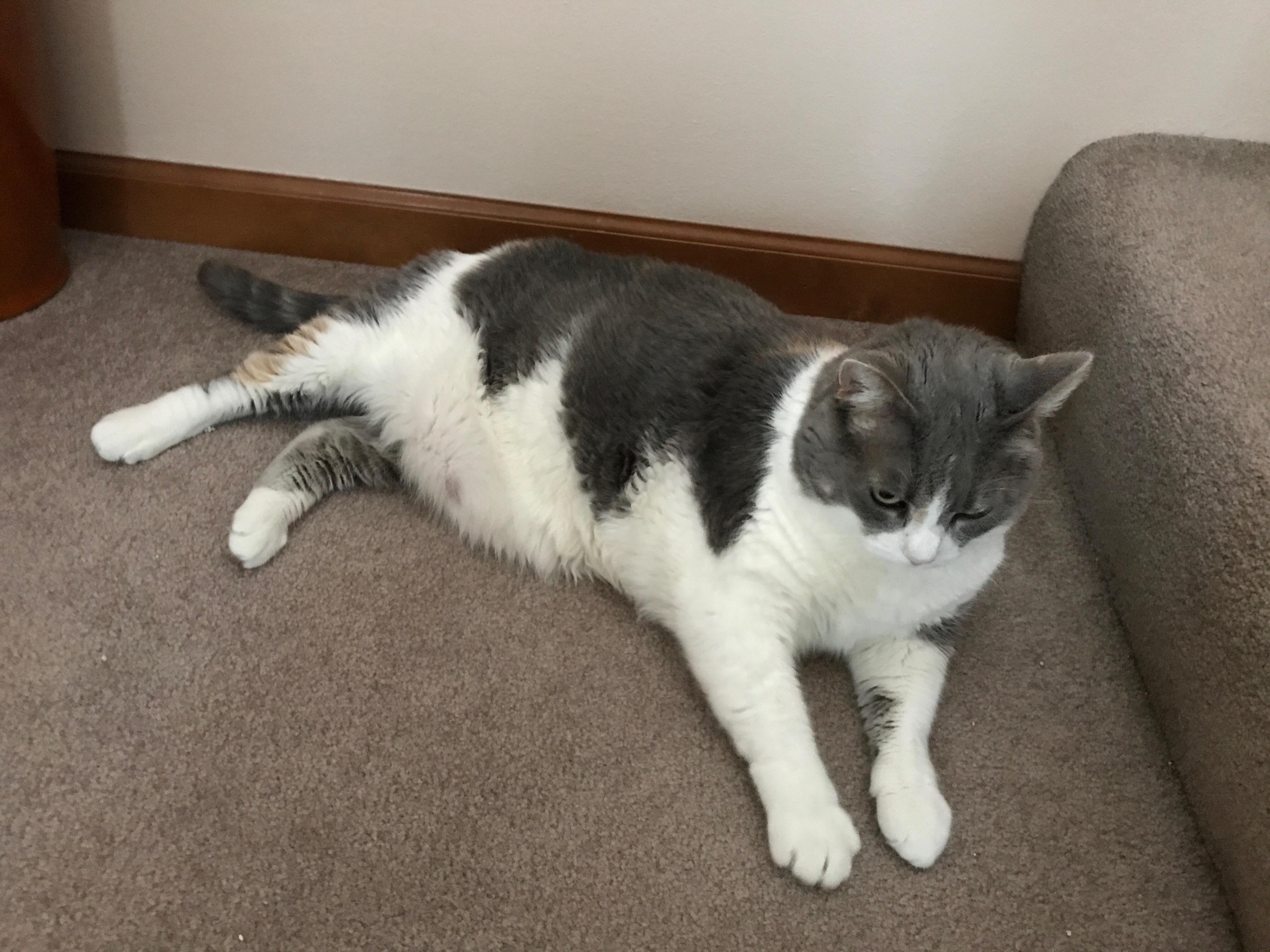 Remember her? | Scrolller