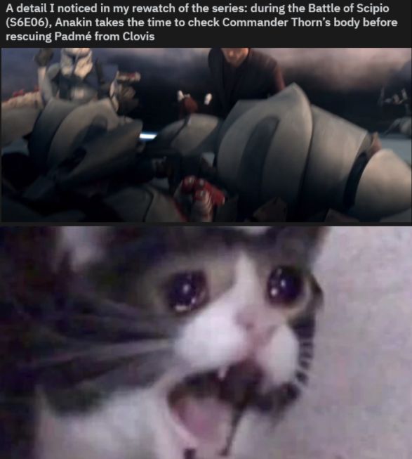 Remember Thorn | Scrolller