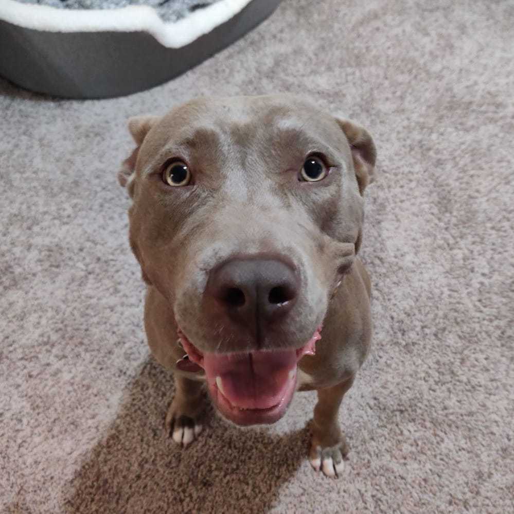 Remember to smile | Scrolller