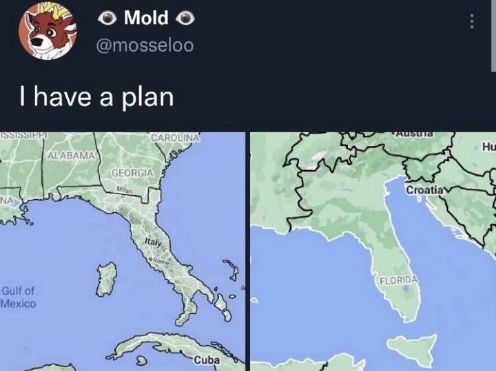 repost rule | Scrolller