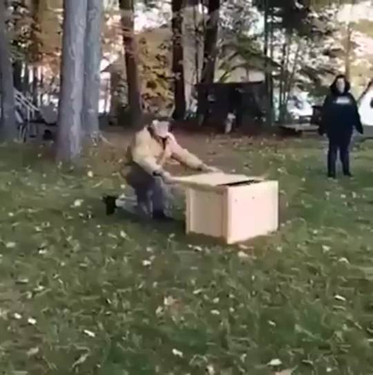 Beautiful bald eagle | Scrolller