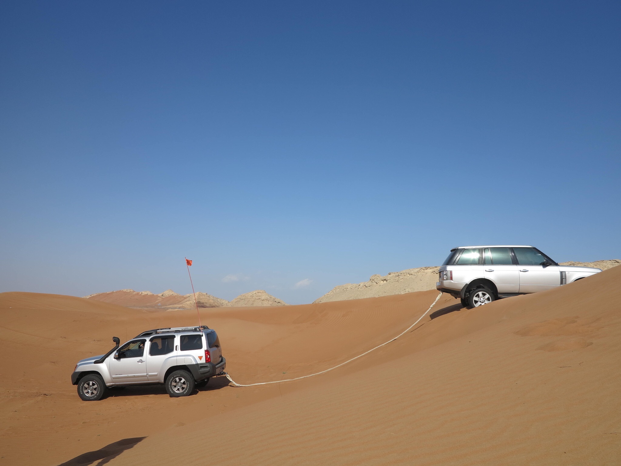 Rescuing a beached whale | Scrolller