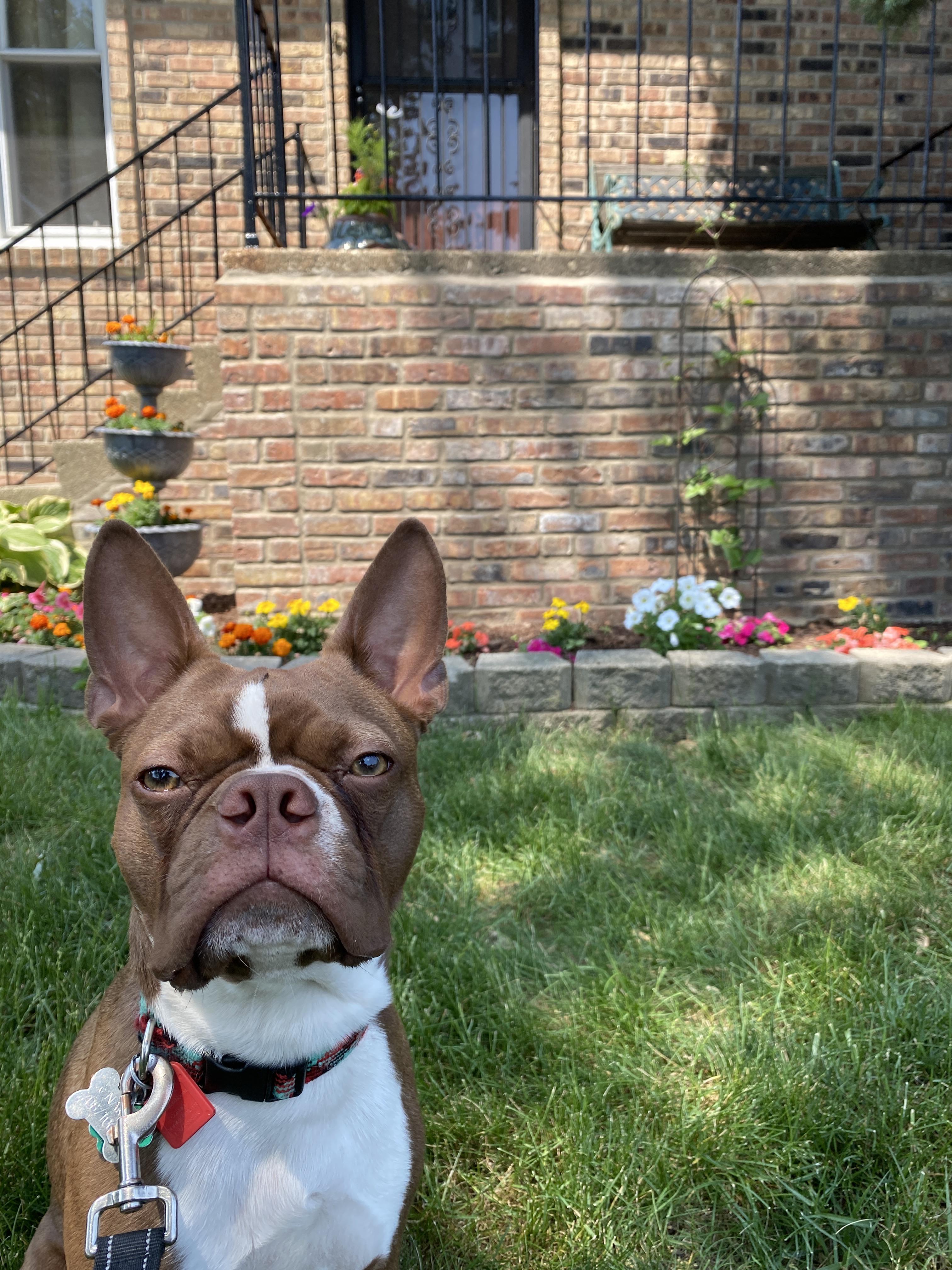 Resting Grumpy Face | Scrolller