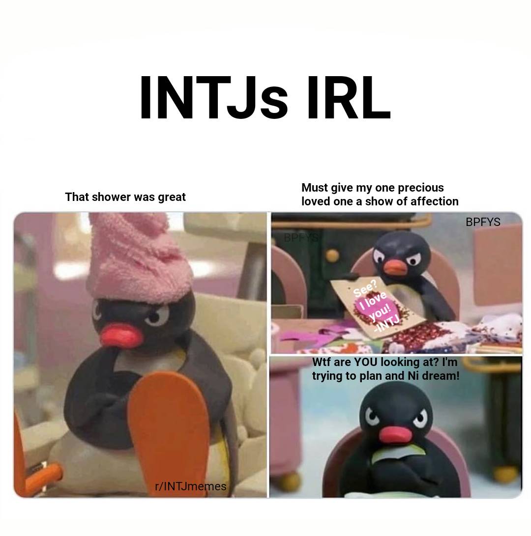 INTJ IRL | Scrolller