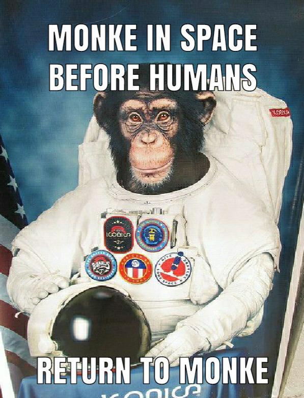 Return to monke 😡 | Scrolller