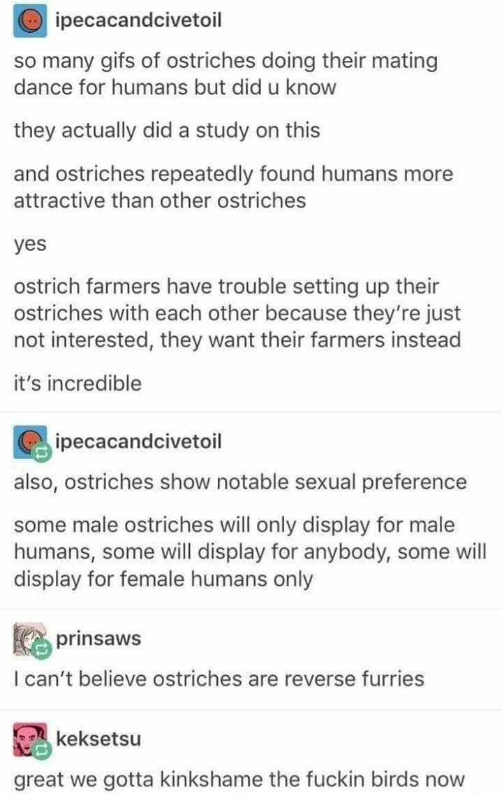 reverse furries | Scrolller