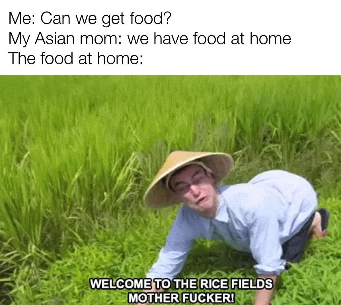 Rice every day is the rule | Scrolller