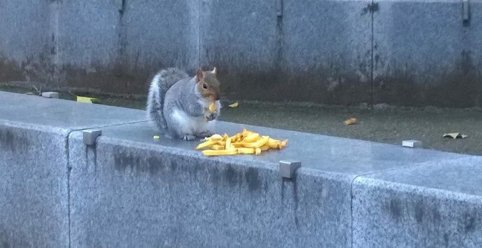 Rich fat bastard with his Friday takeout. | Scrolller