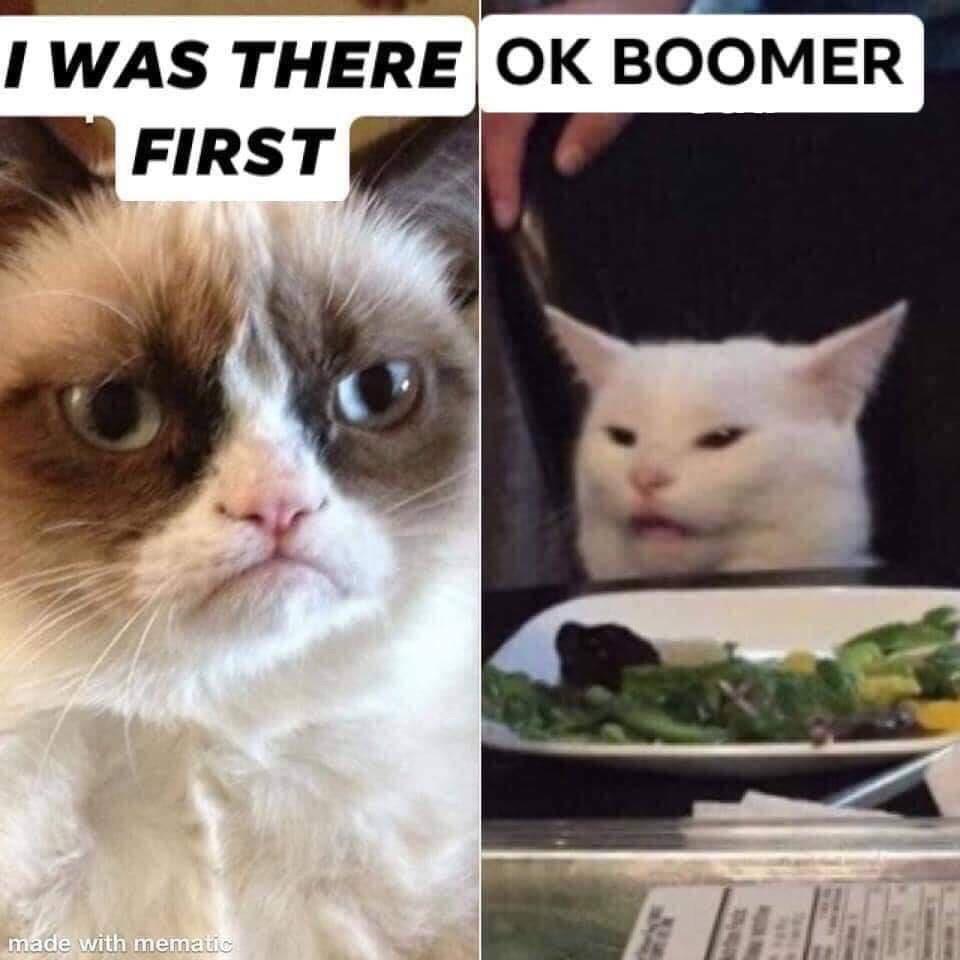 Rip grumpy cat | Scrolller