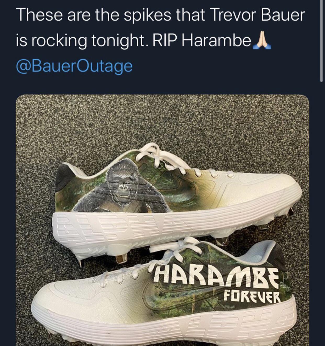 RIP HARAMBE. | Scrolller