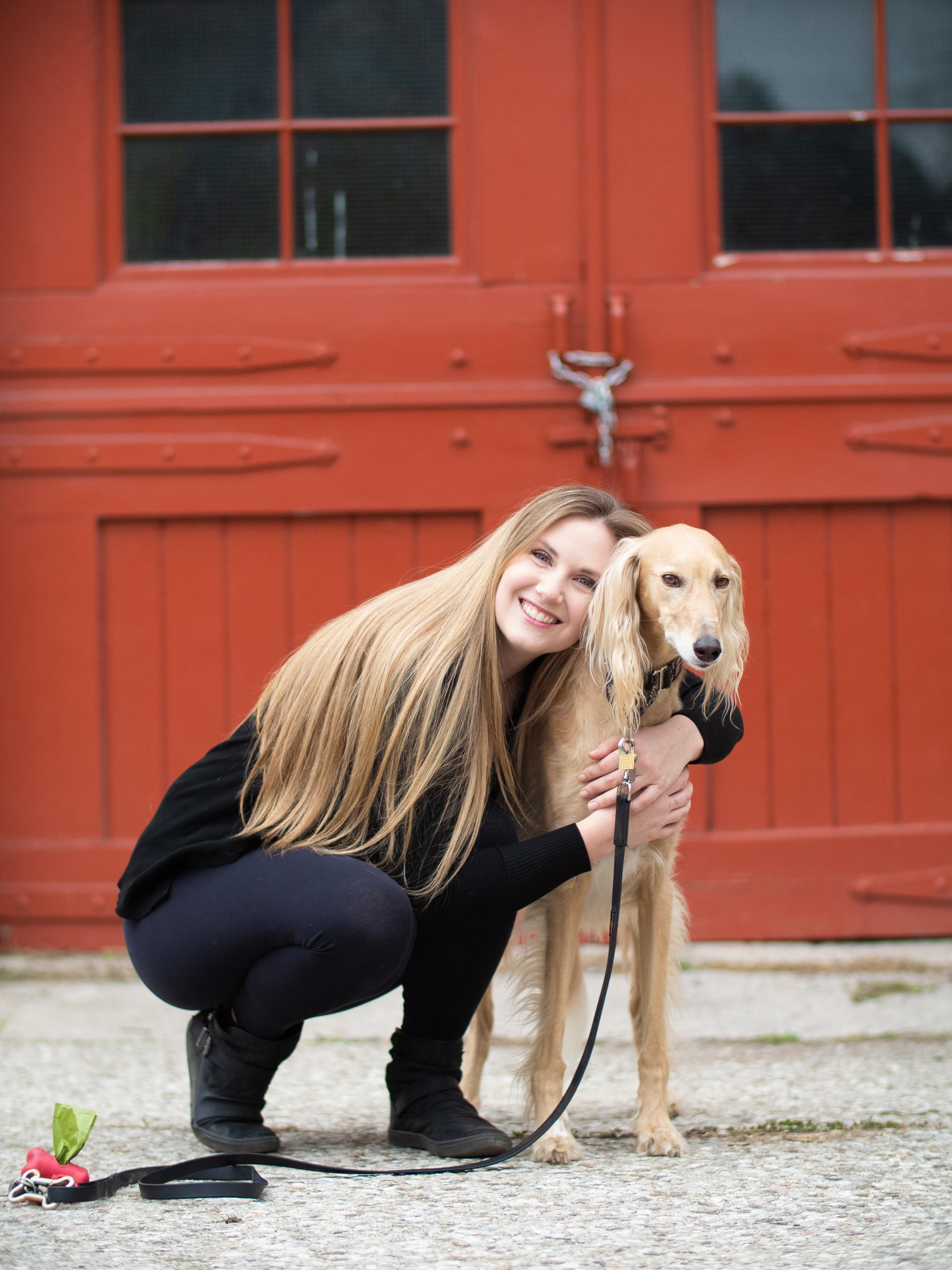 Discover more like Saluki: RIP Ramses, 9 year old saluki, my best friend and Related Content ...