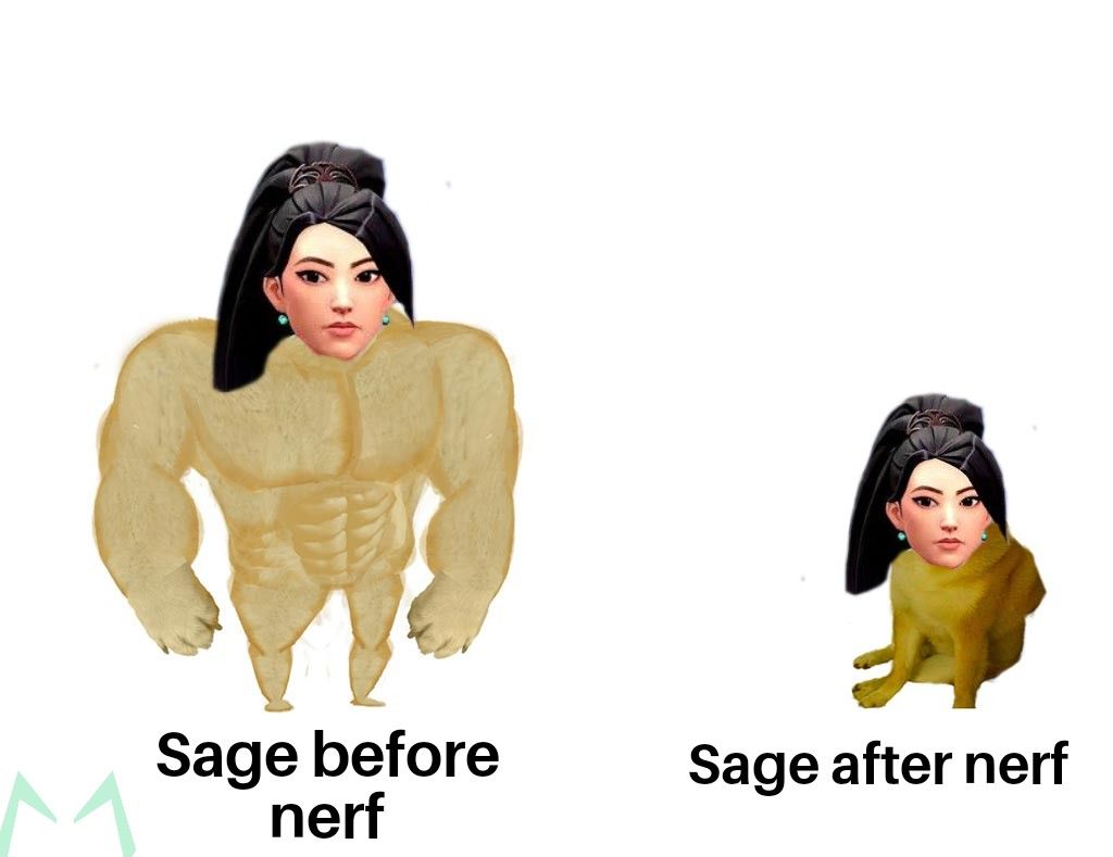 RIP Sage mains | Scrolller