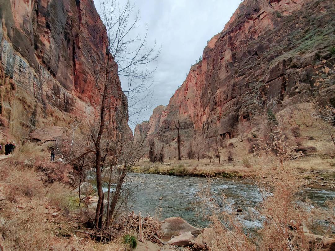 Riverside walk - Zion National Park - Dec 23rd, 2019 | Scrolller