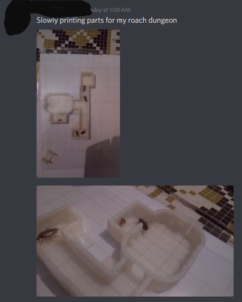 Roach dungeon? | Scrolller