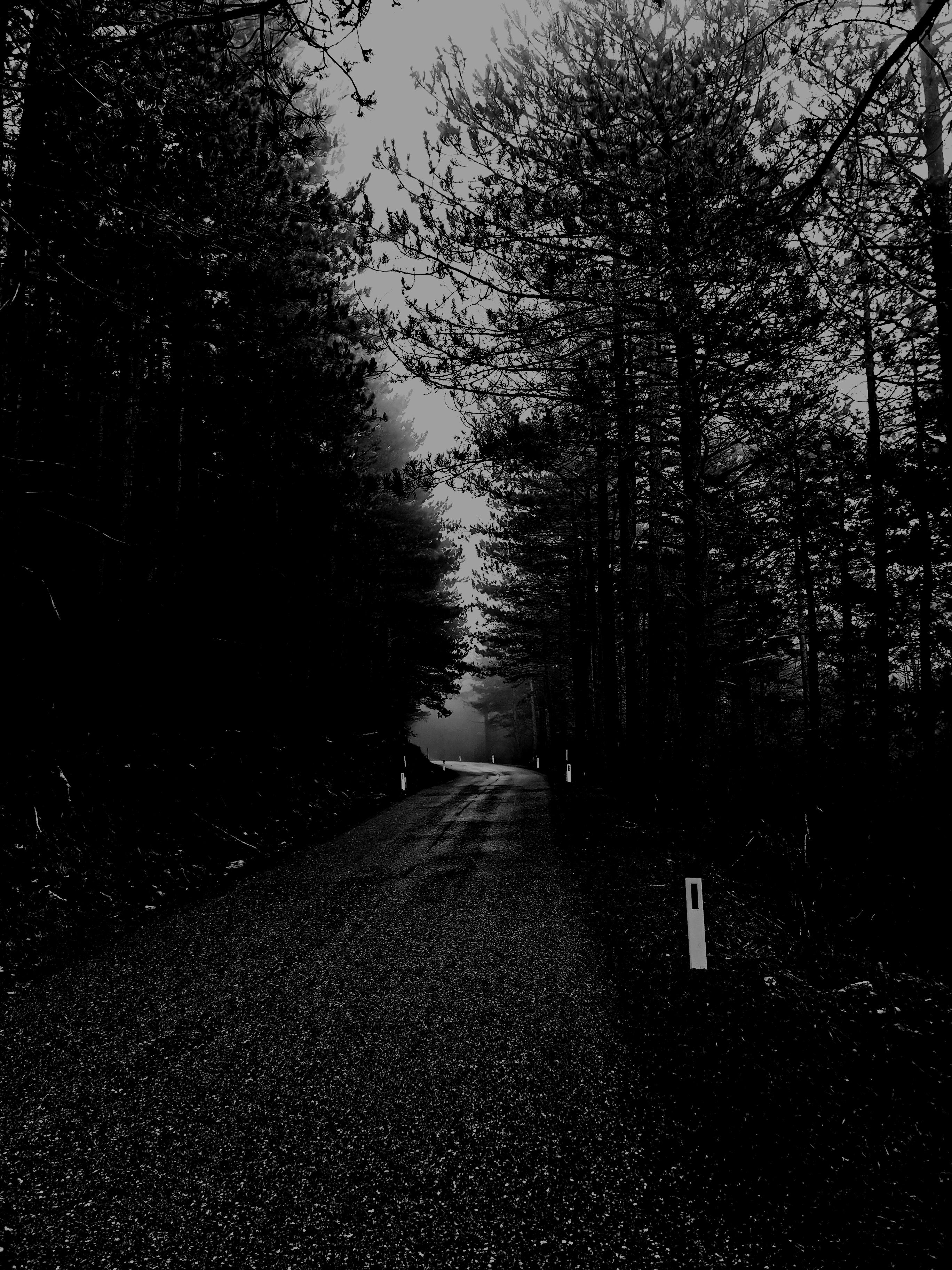 Road home | Scrolller