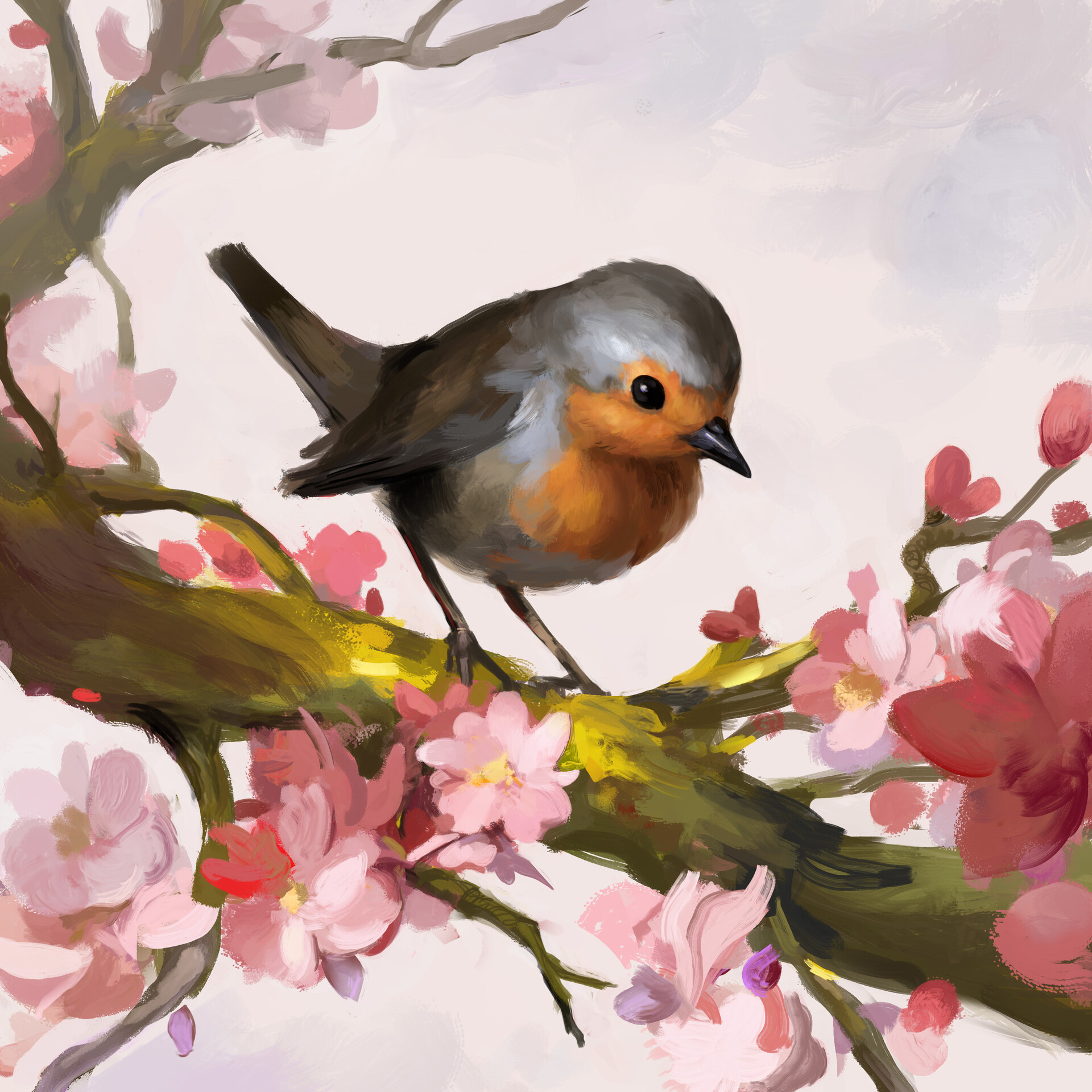 Robin by Danil Luzin | Scrolller