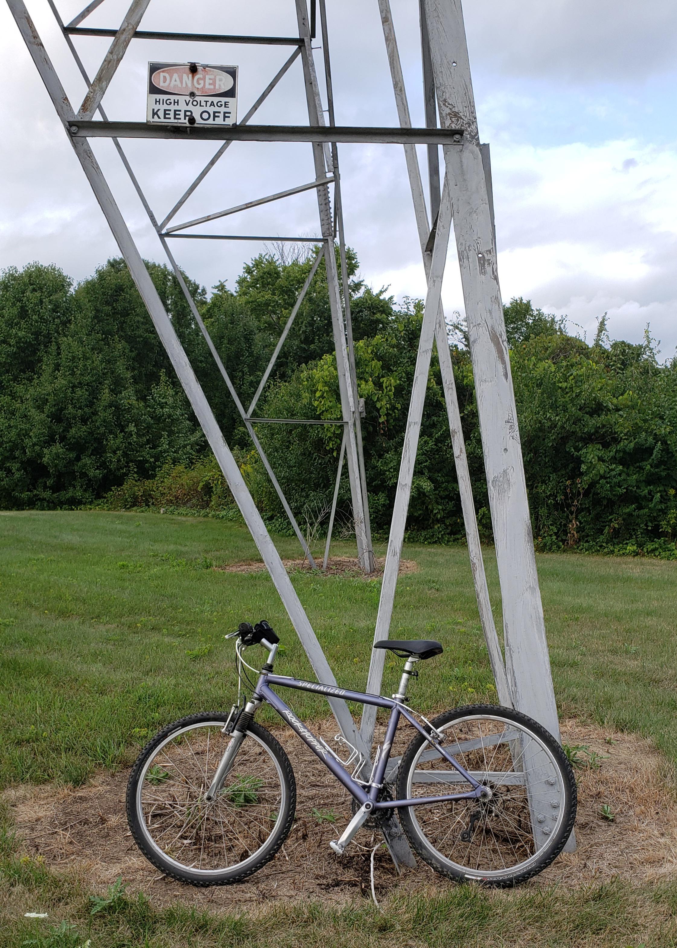 Rockhopper in the danger zone | Scrolller