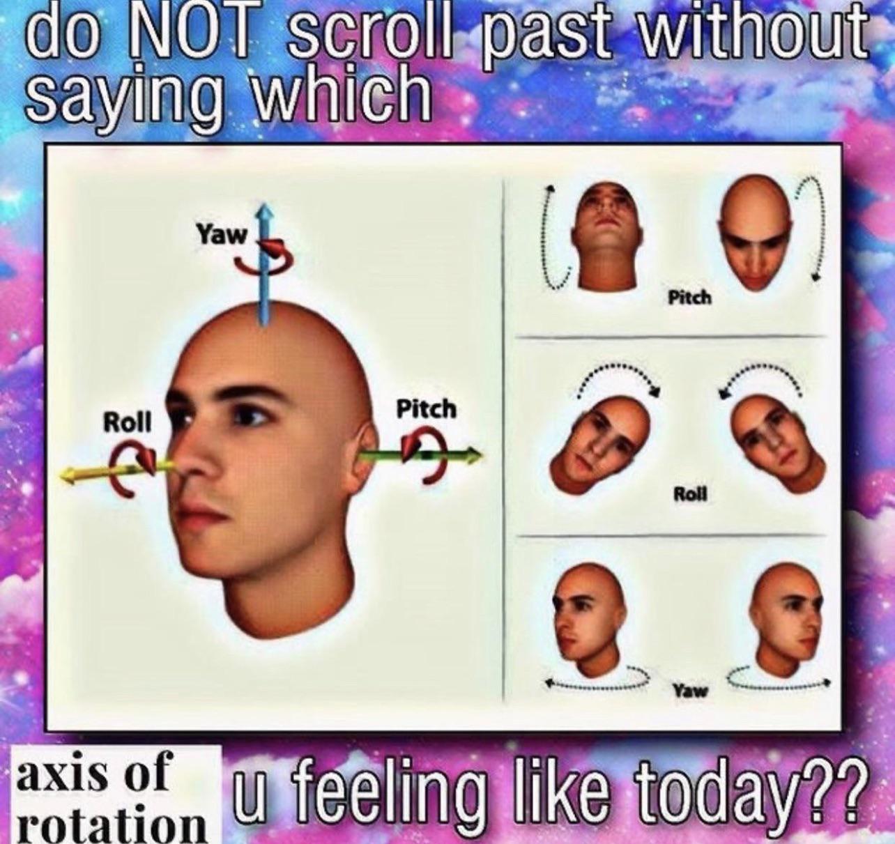 Feeling a roll coming | Scrolller