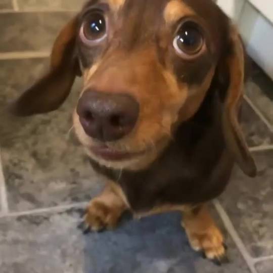 Rolling my first time | Scrolller