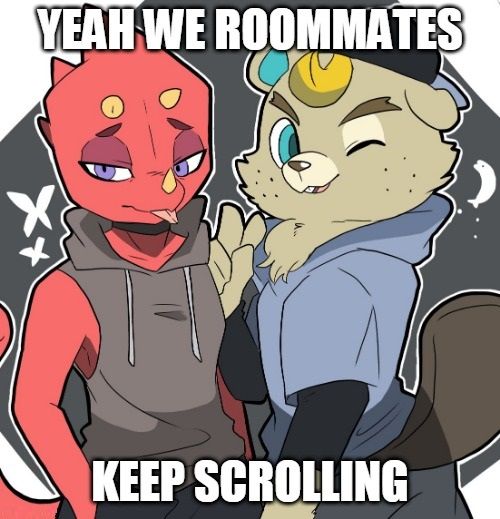 Roommates Irl Scrolller