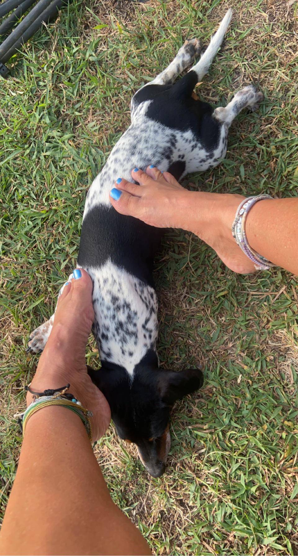 Rubbing my feet on the biggest weenie I could find! | Scrolller