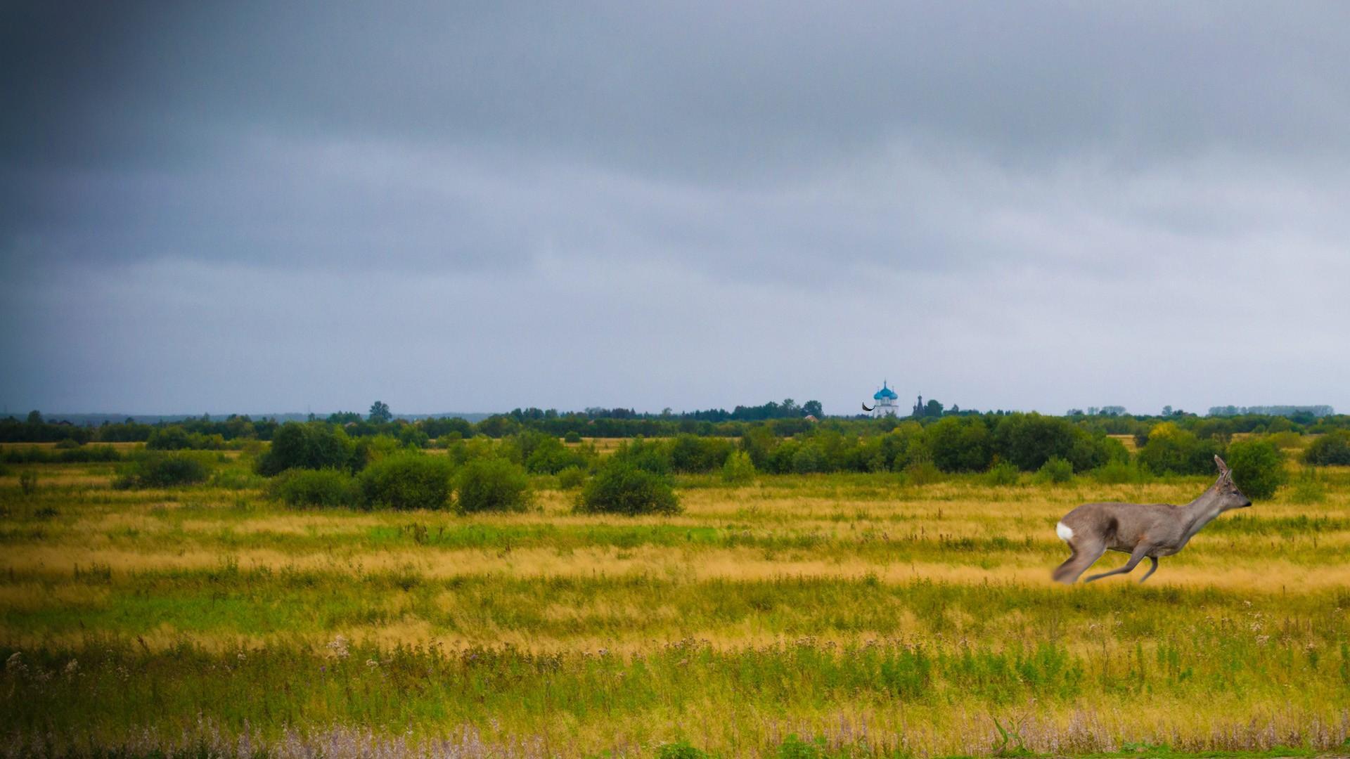 Ruined photo | Scrolller