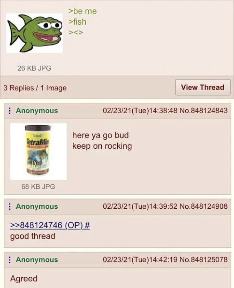 Rule fish | Scrolller