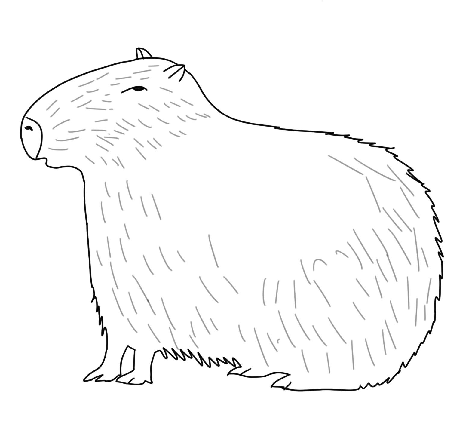 Rule I drew a capybara | Scrolller