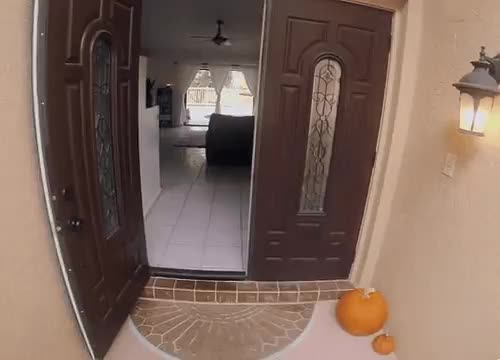 Running late | Scrolller