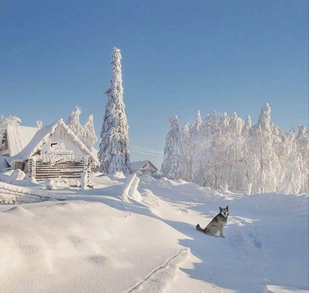 Russian winter | Scrolller