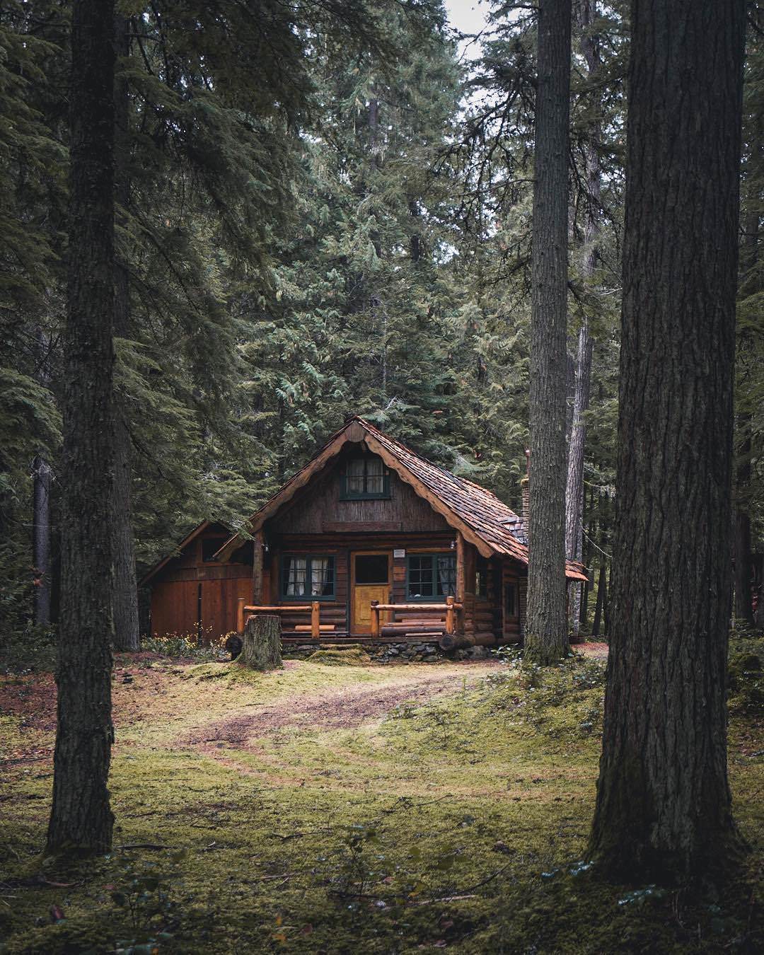 Rustic cabin deep in the woods | Scrolller