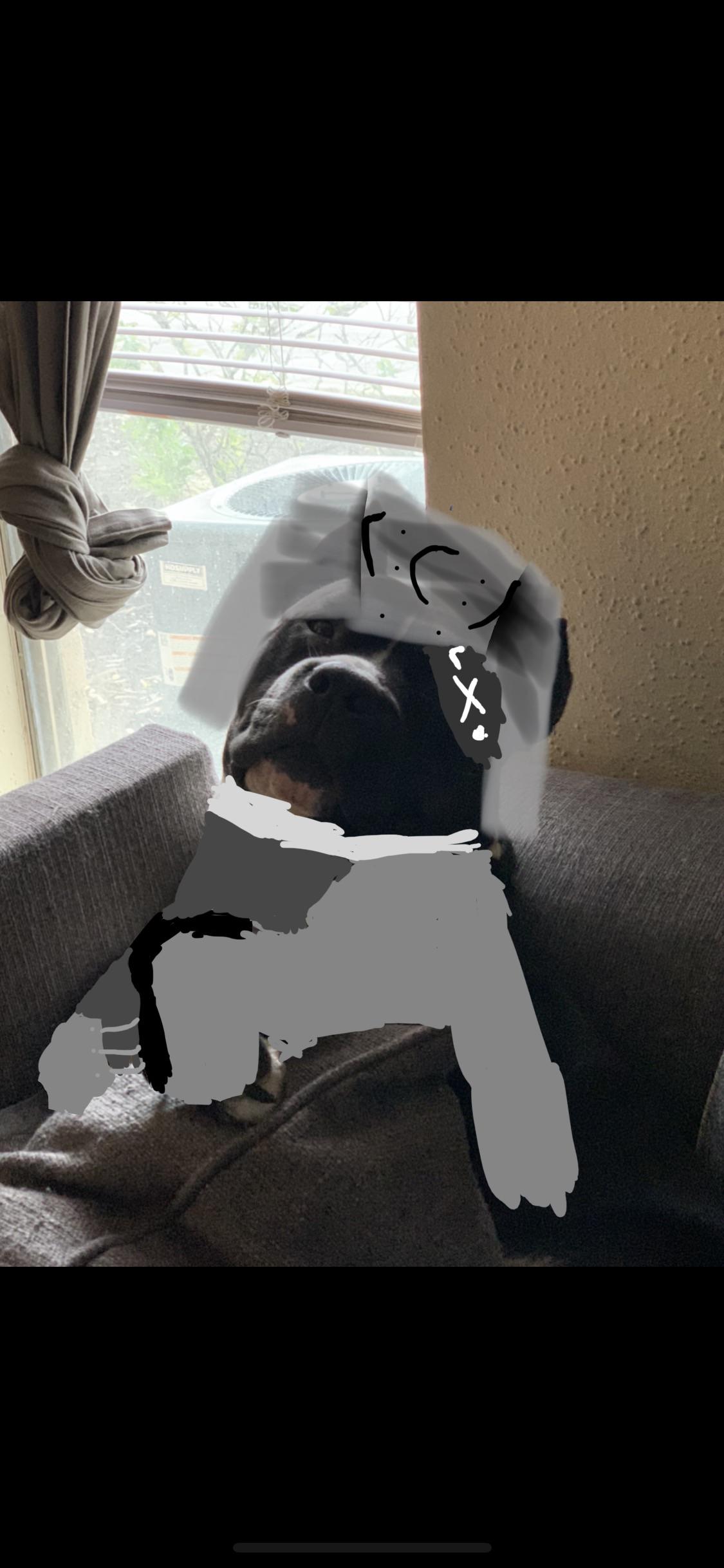 Ruv as my dog | Scrolller