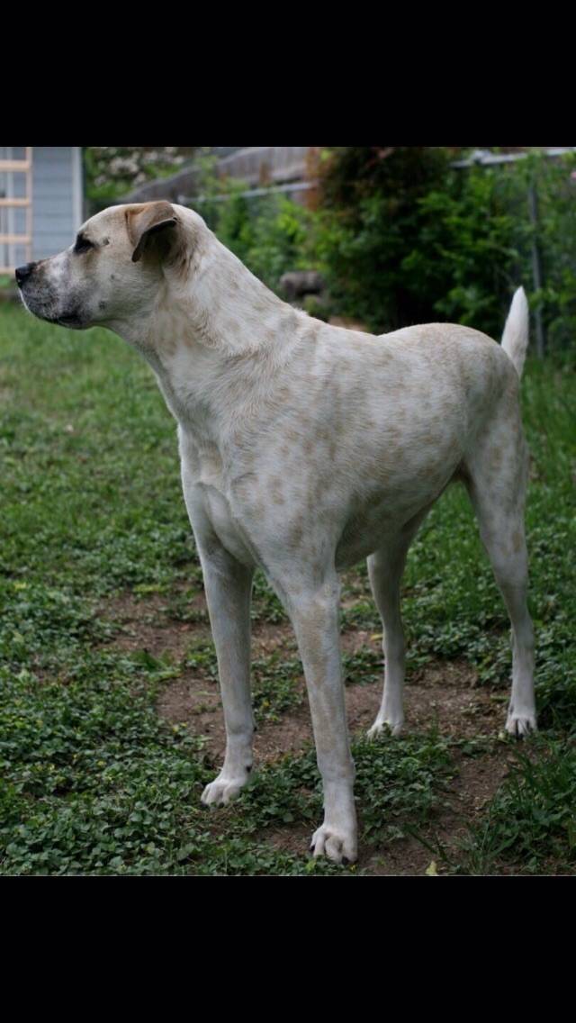 Rylee on guard | Scrolller