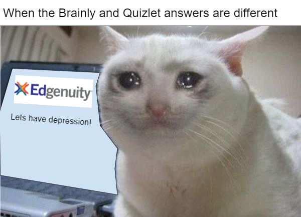 Sad cat noises | Scrolller