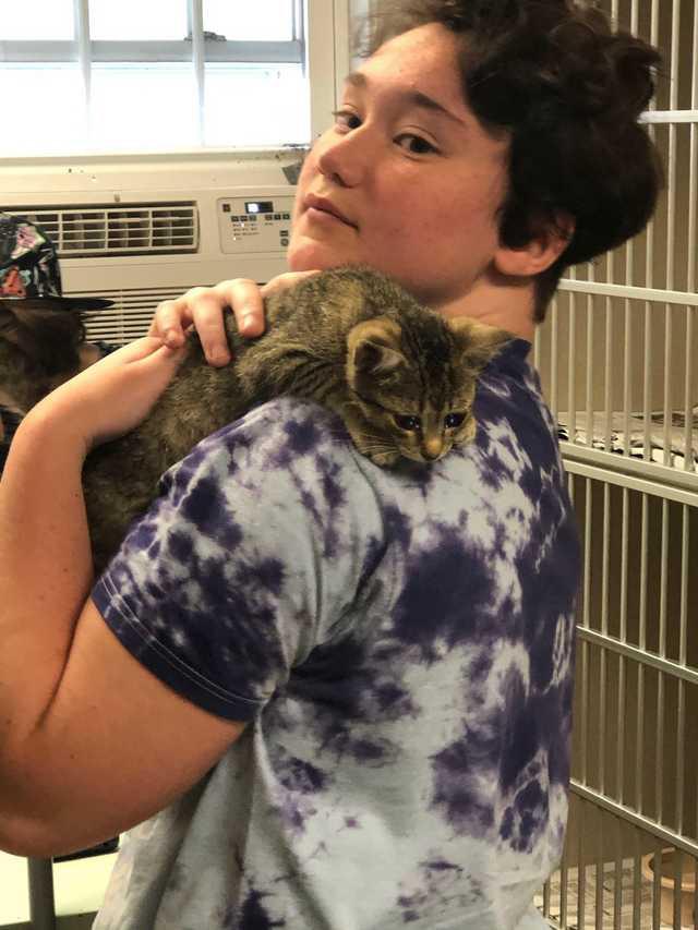 Sad kitty being held captive | Scrolller