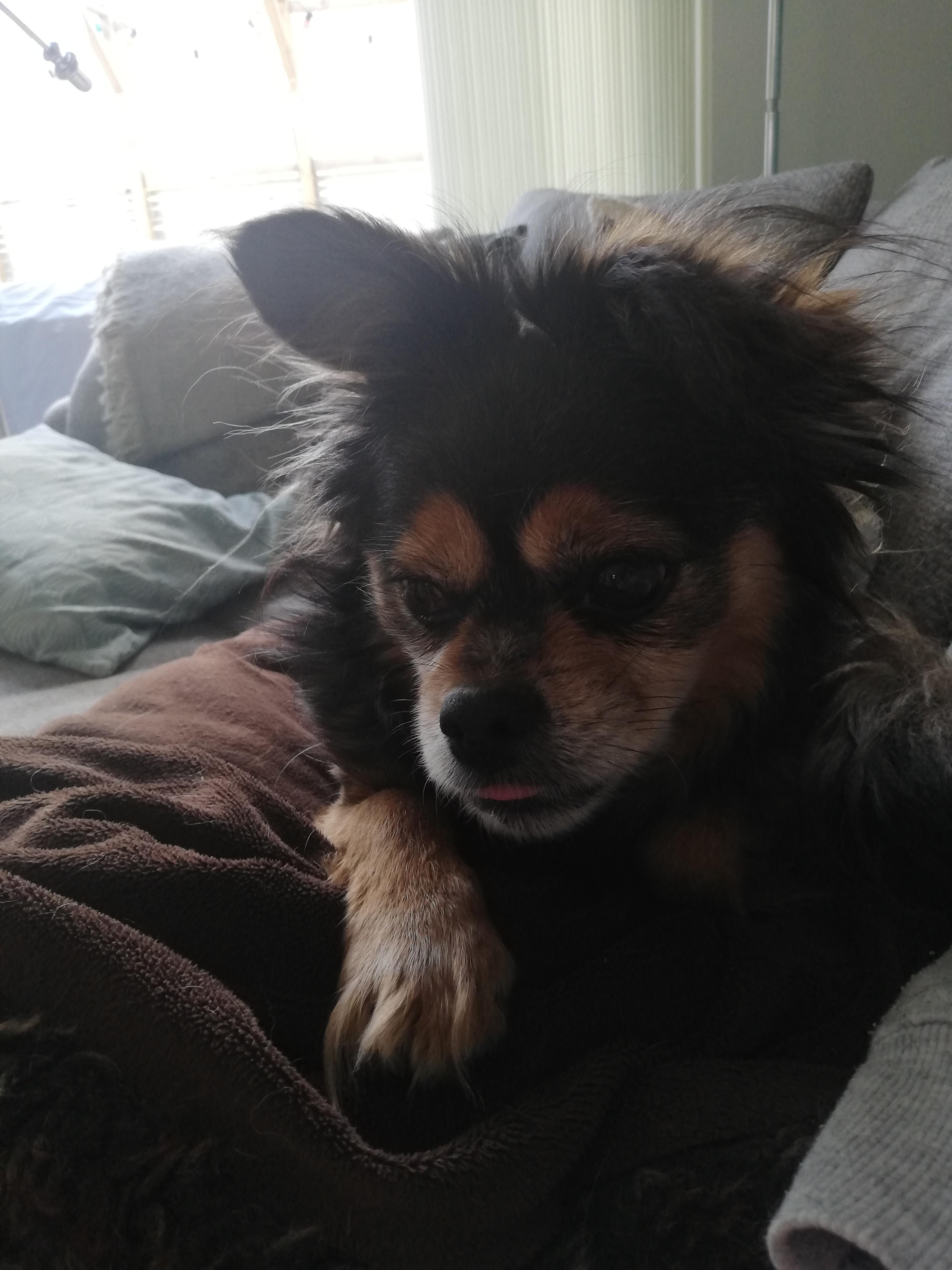 Sad, little bloop | Scrolller