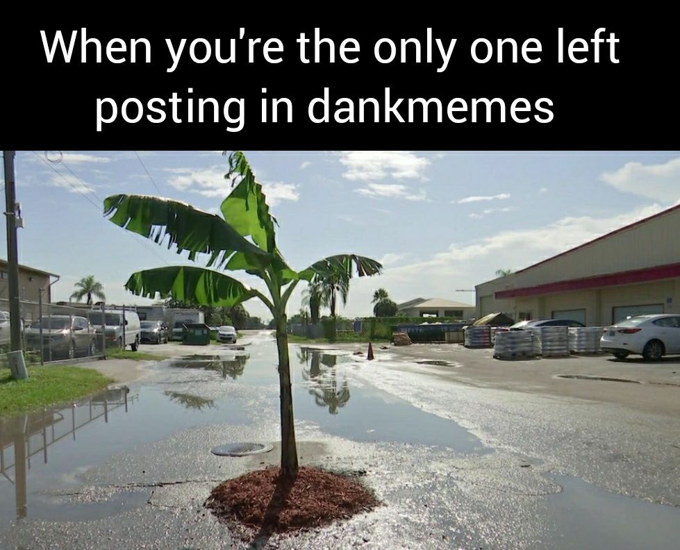 Sad noises | Scrolller