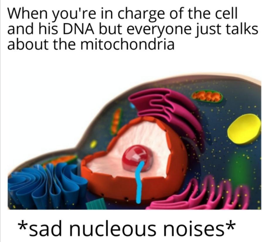 Sad nucleus noises | Scrolller