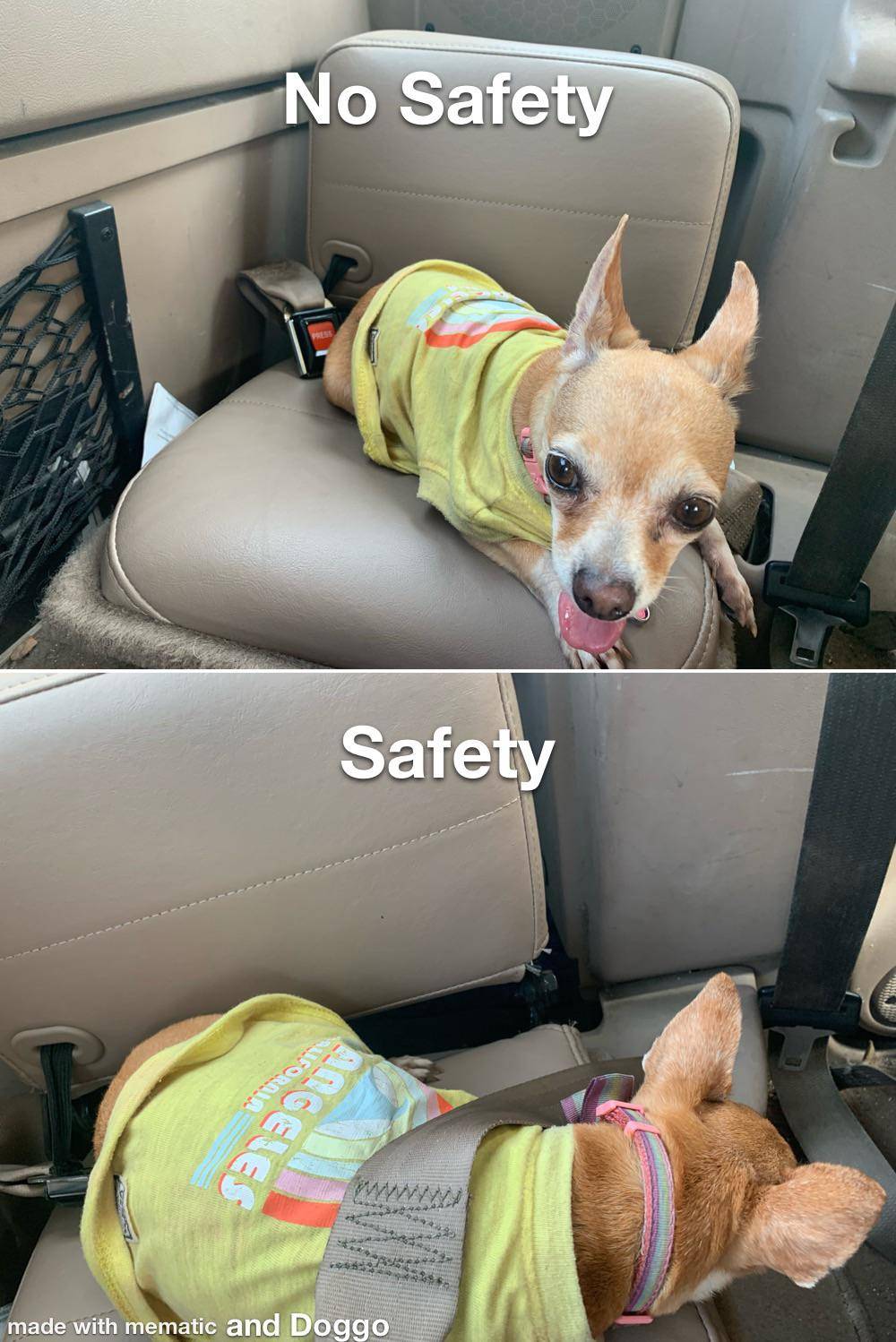 Safety First :) | Scrolller