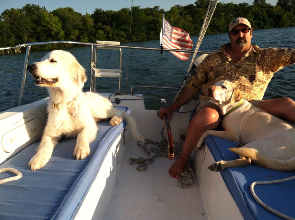 Sailing hounds! | Scrolller