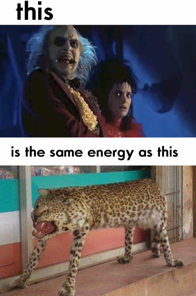 same energy. both dead. | Scrolller