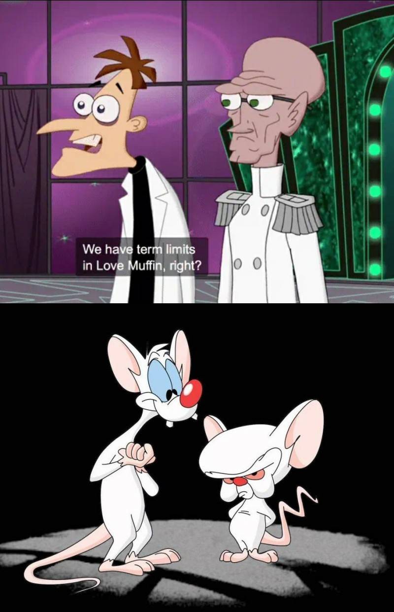 Same energy | Scrolller