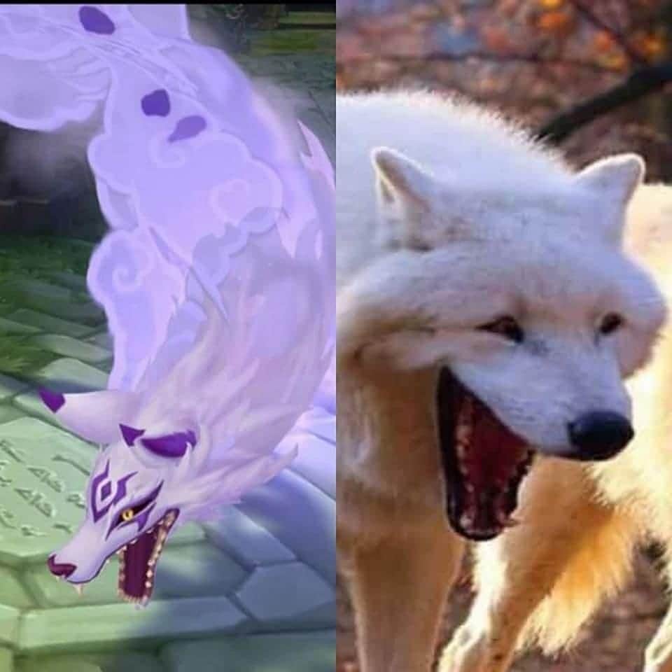 Same meme energy. | Scrolller