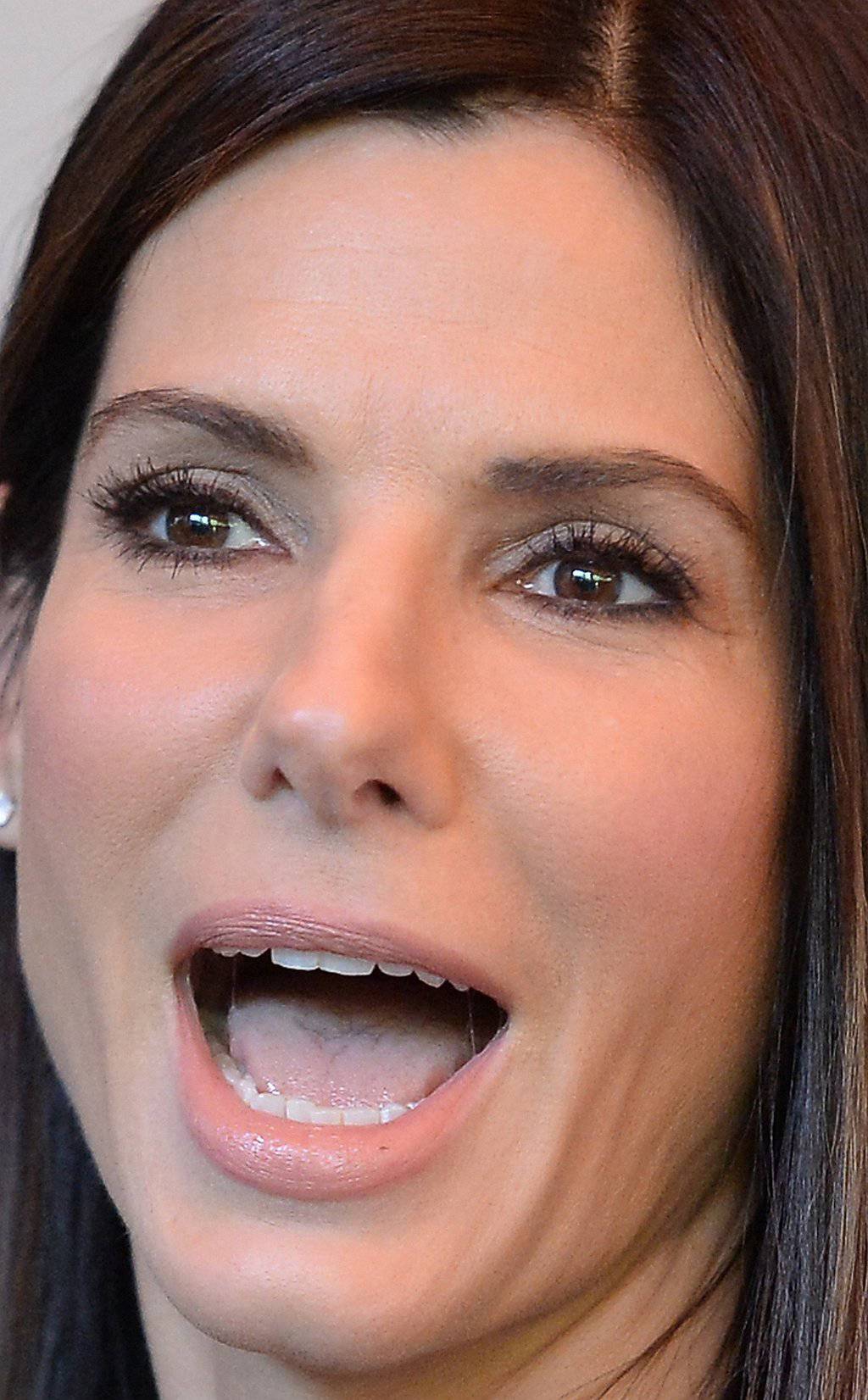 Sandra Bullock | Scrolller