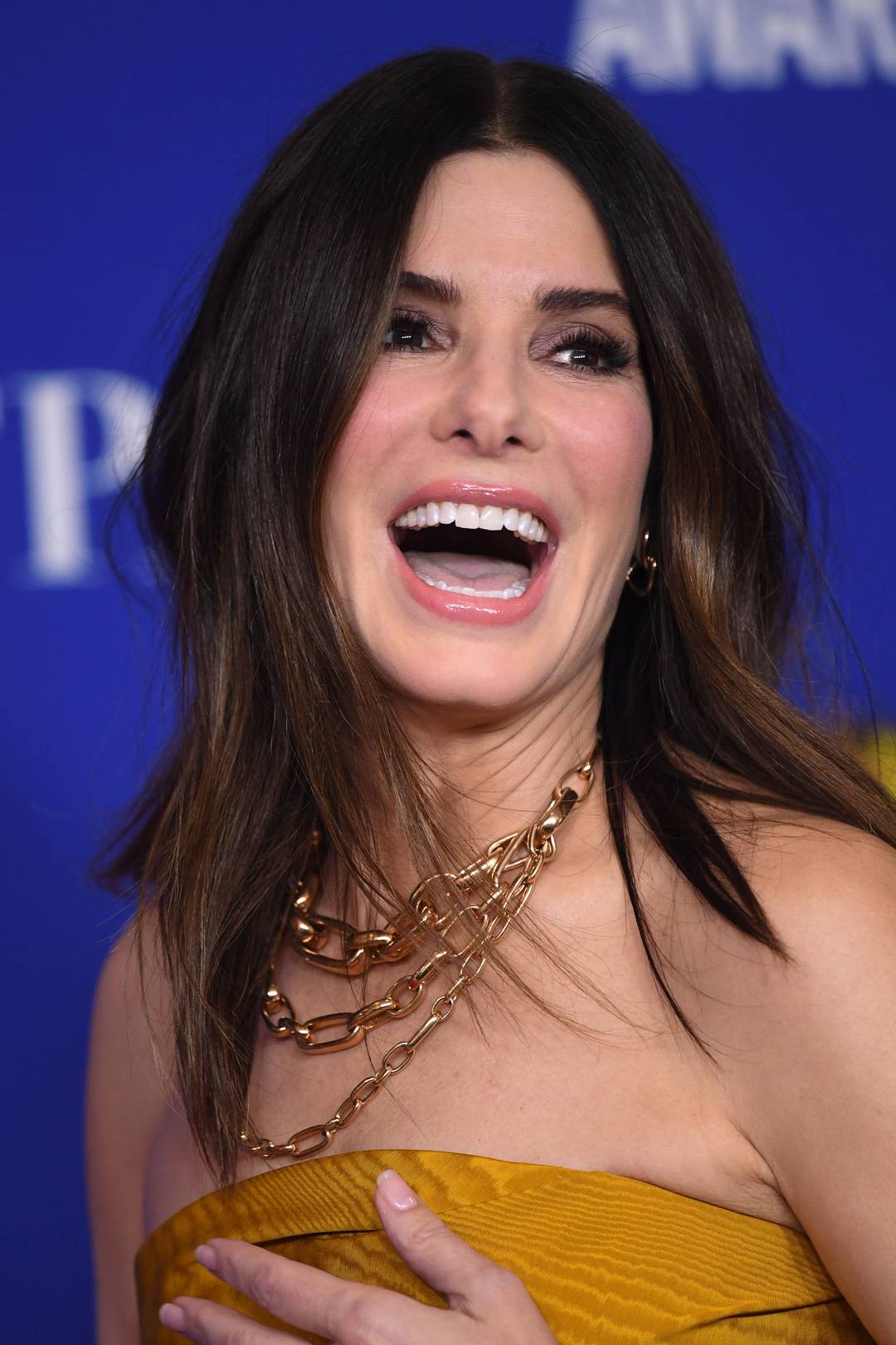 Sandra Bullock | Scrolller