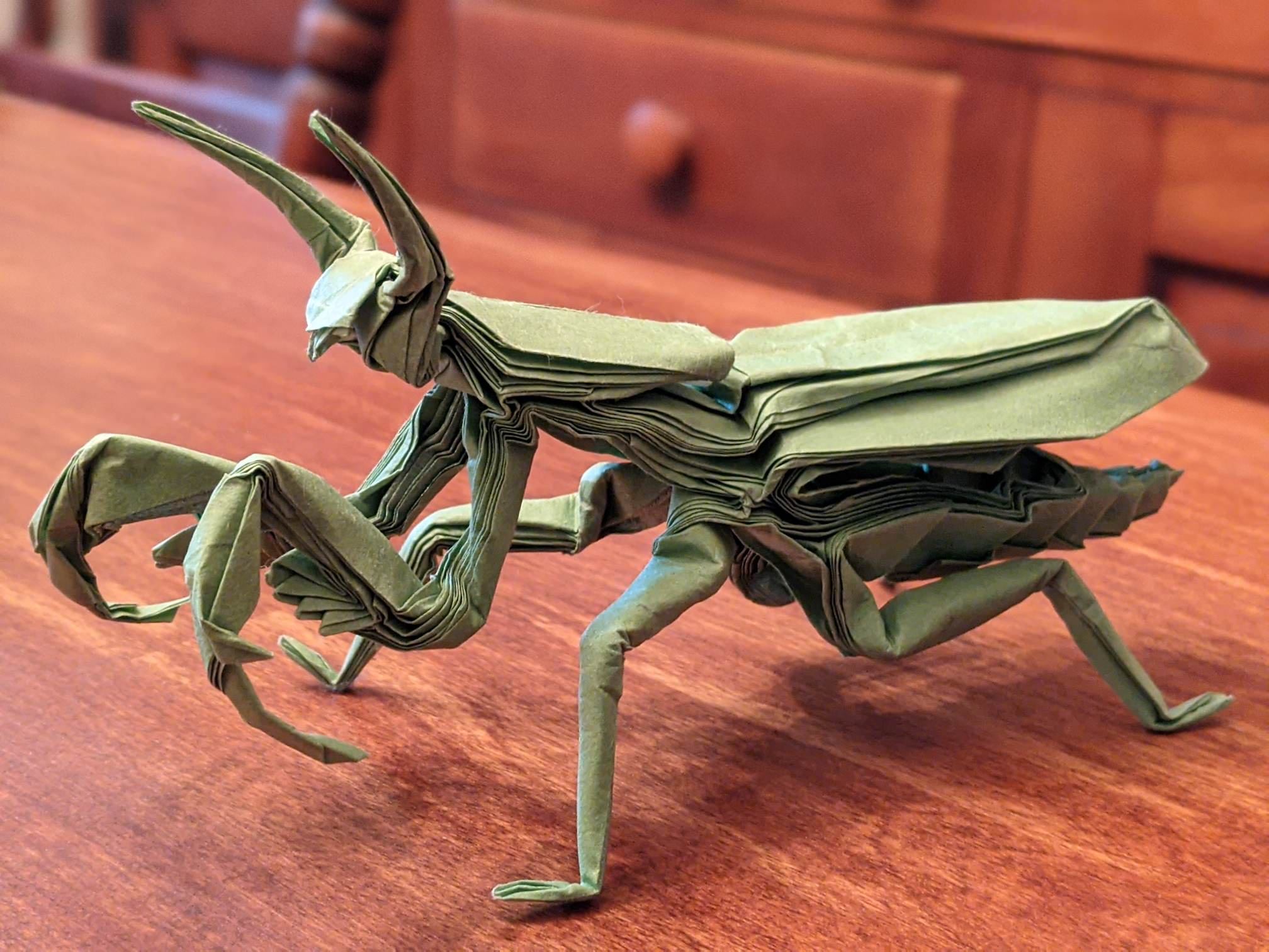 Satoshi Kamiya's Praying Mantis, folded by me | Scrolller