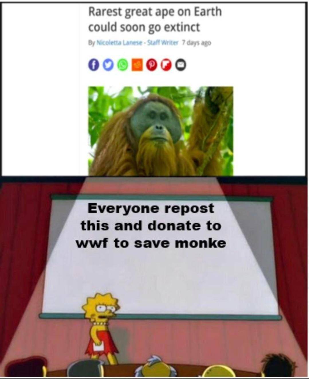 Save Monke | Scrolller