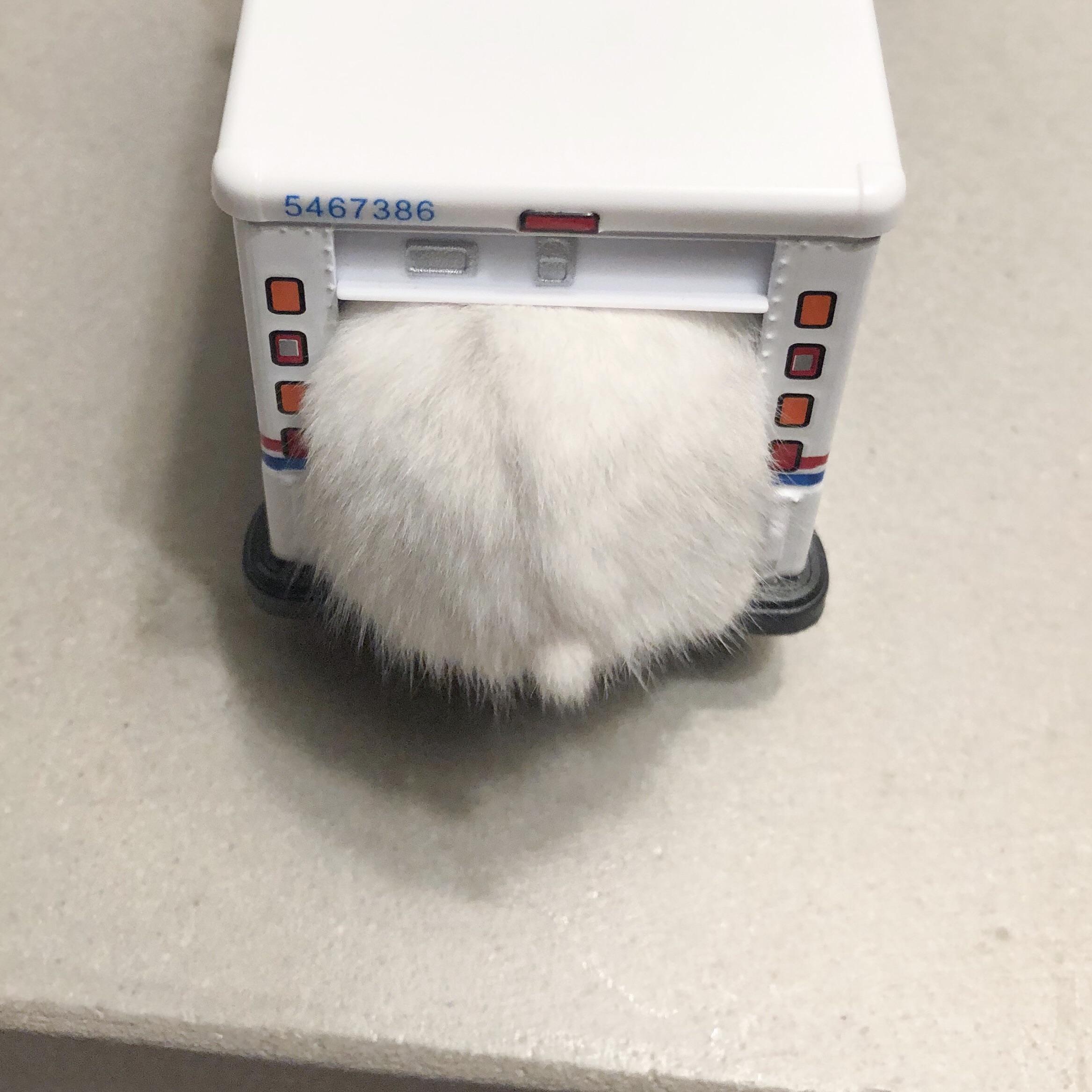 save the post office! | Scrolller